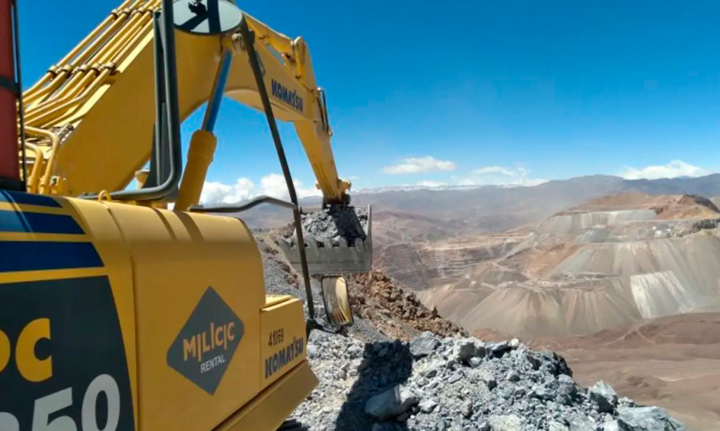 Milicic invertirá US$ 8 millones este año y busca tener presencia en la ...